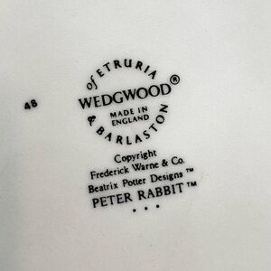 Wedgwood | Dining | Beatrix Potter Peter Rabbit Dinnerware Set | Poshmark